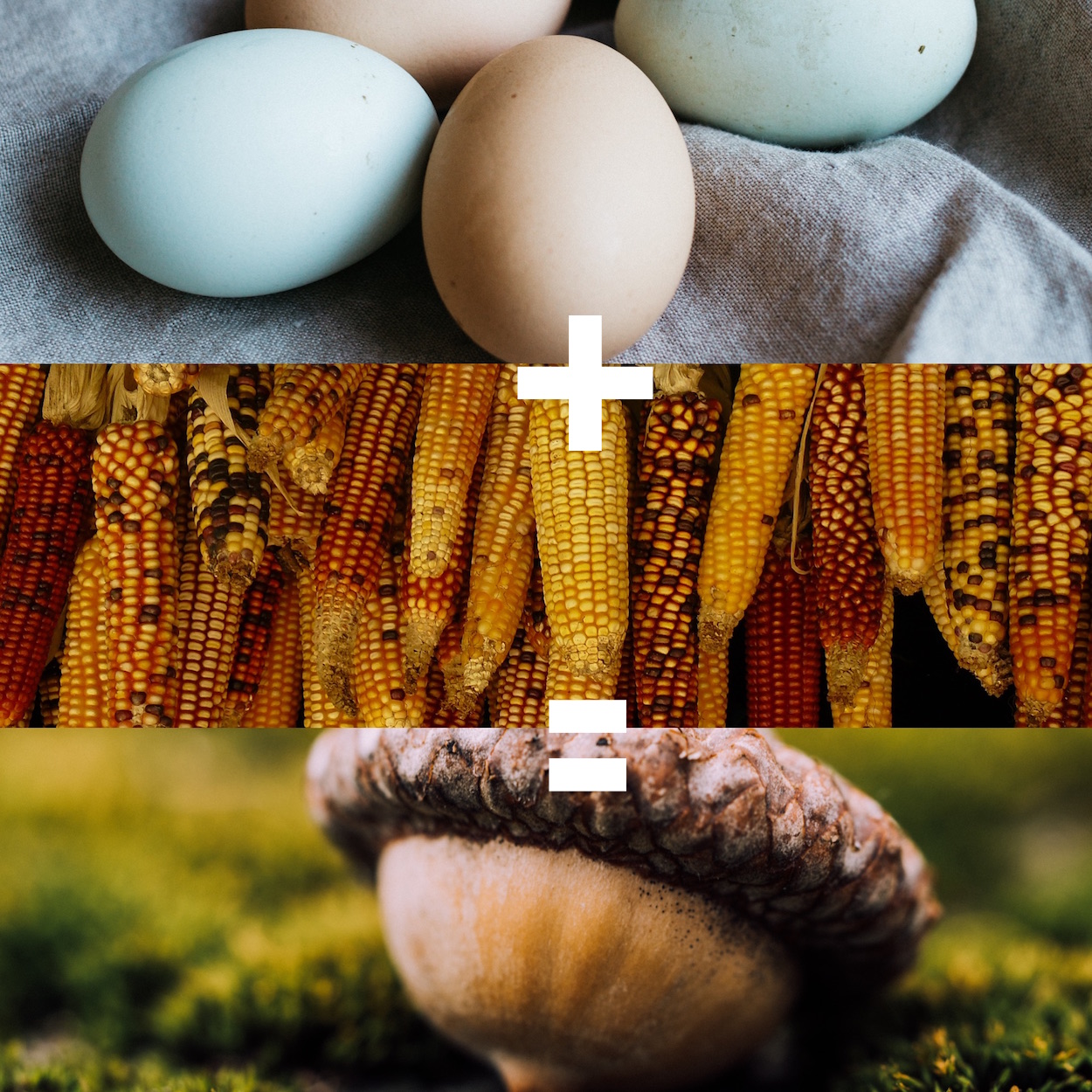 Eggcorns and Engrams – Anne McClane