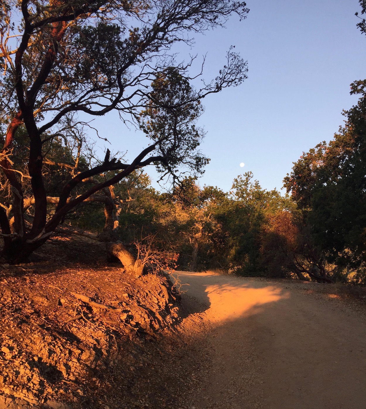 Solstice and Solnit – Anne McClane