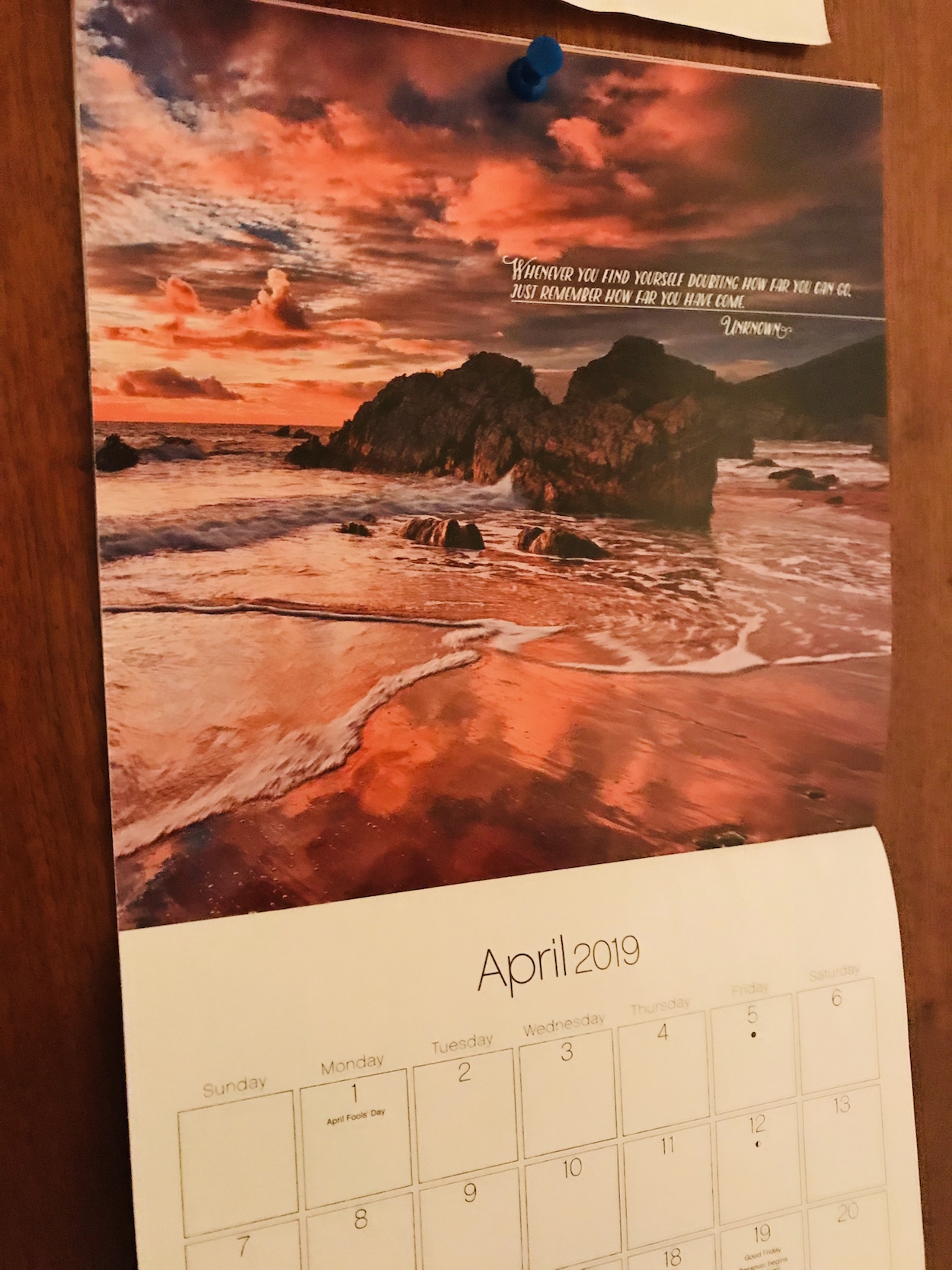 While You See a Chance – Anne McClane